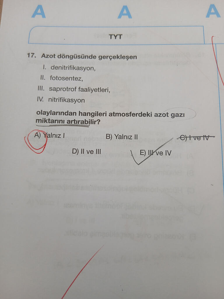 Azot döngüsünde gerçekleşen I. denitrifikasyon, II. fotosentez, III ...